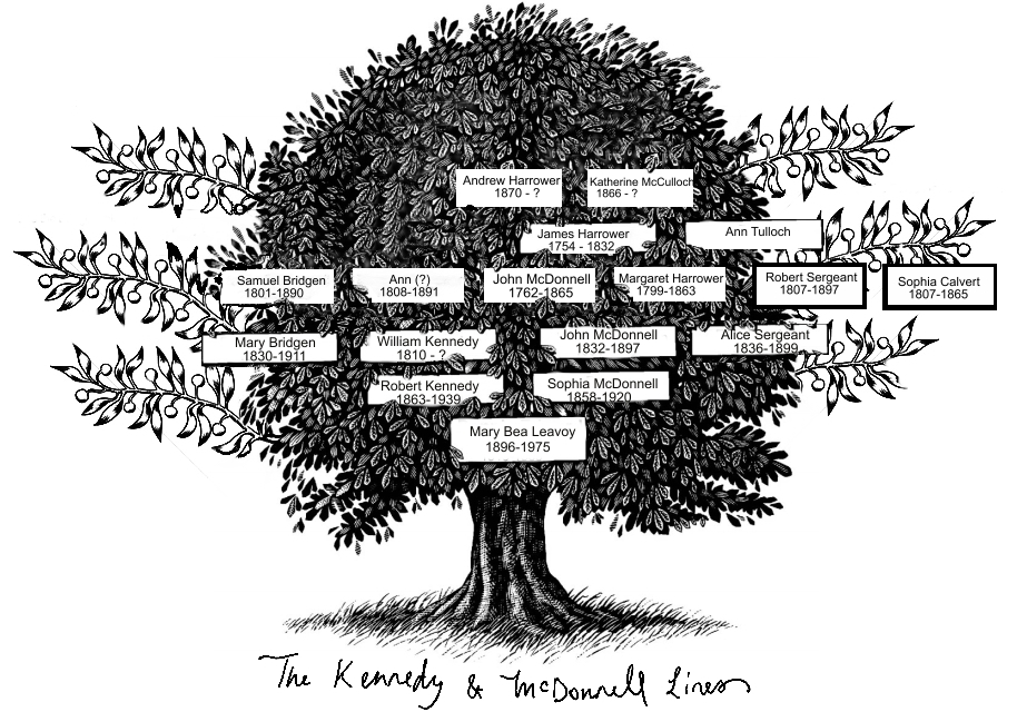 The Kennedys & McDonnells | Oh What a Tree