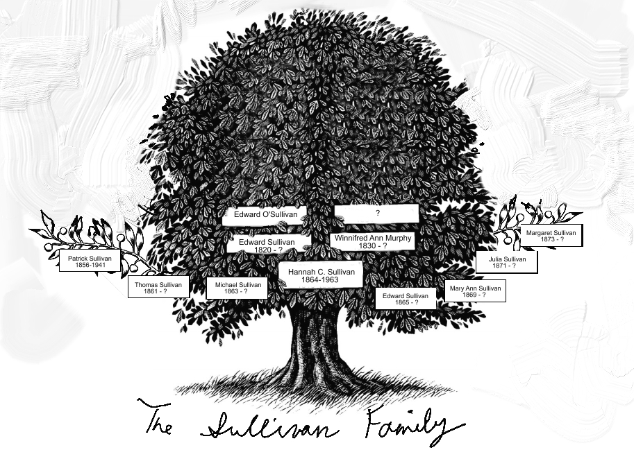 The Sullivan Family | Oh What a Tree